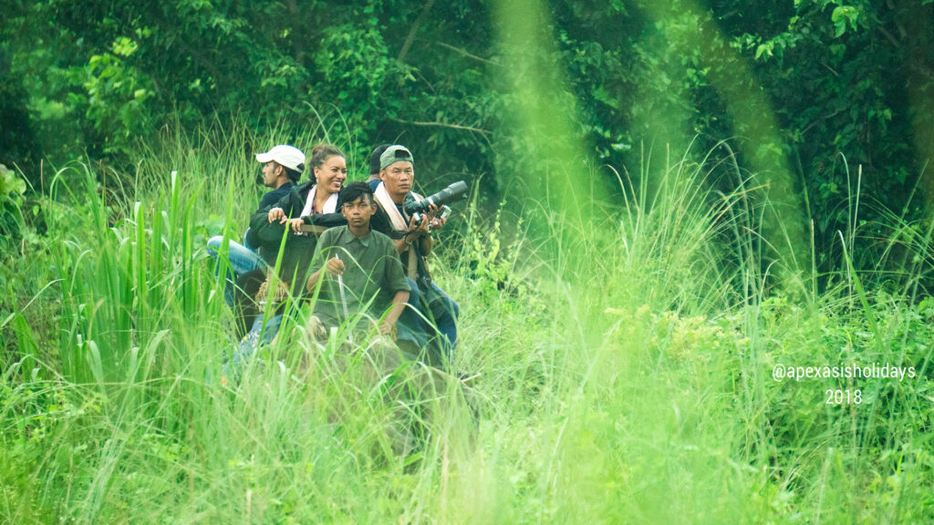 Jungle Safari Tour - Broad Adventure - A Leading Trekking Agency
